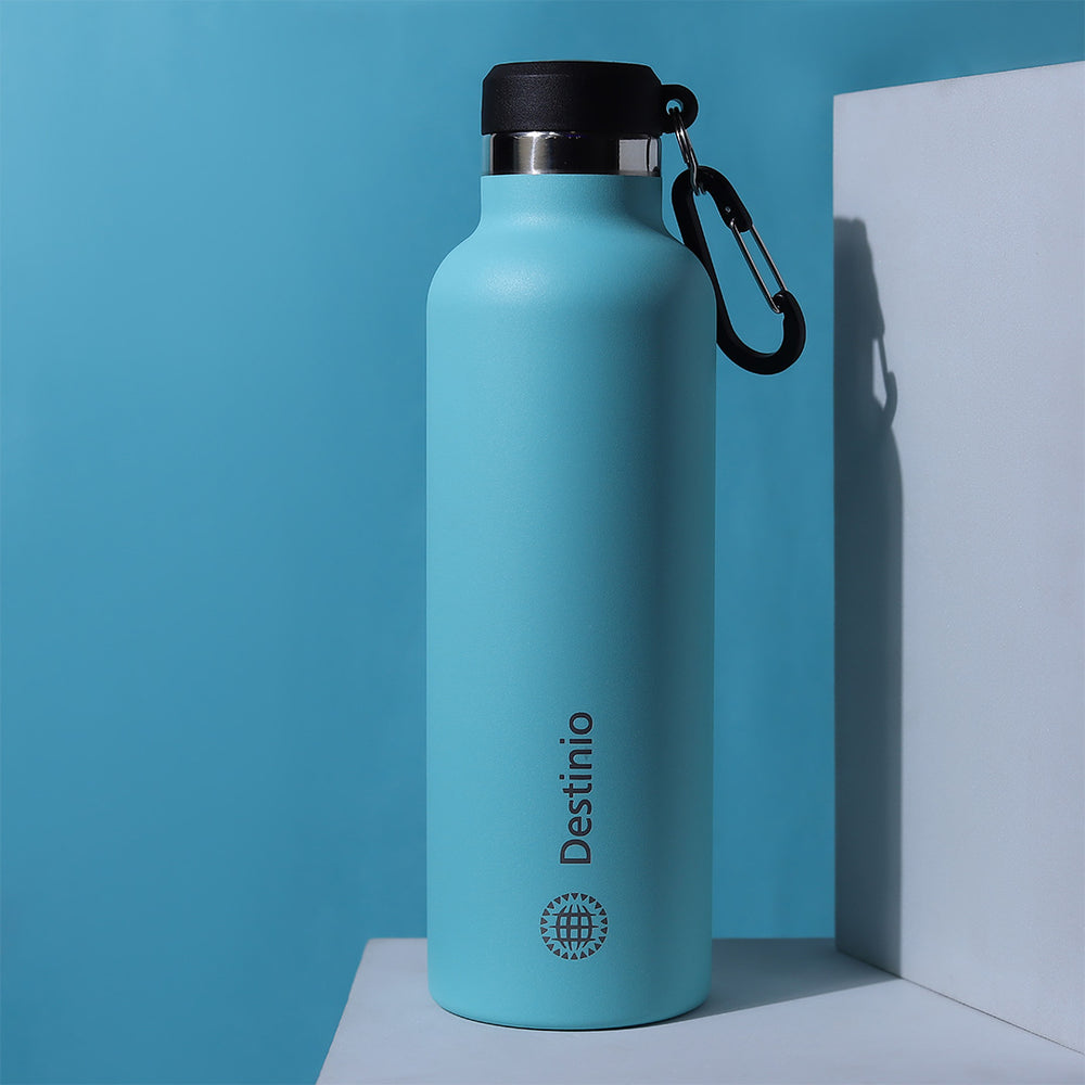 Buy Thermosteel Insulated Flask, Bottles, Mug Online - Destinio.in